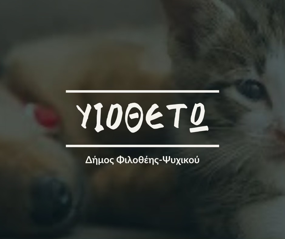 Μικρά και Ενημερωτικά | Τα Τοπικά Νέα